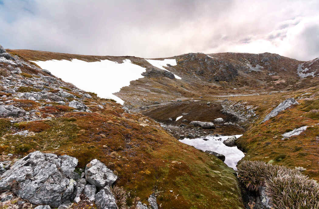 Alpine Plateau
